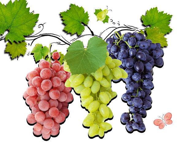 The Sweetest of the Bunch | Sprouts Farmers Market